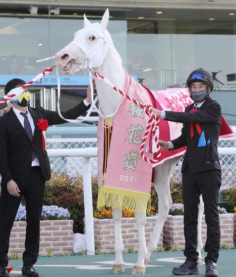 白毛馬ソダシ 写真特集：時事ドットコム