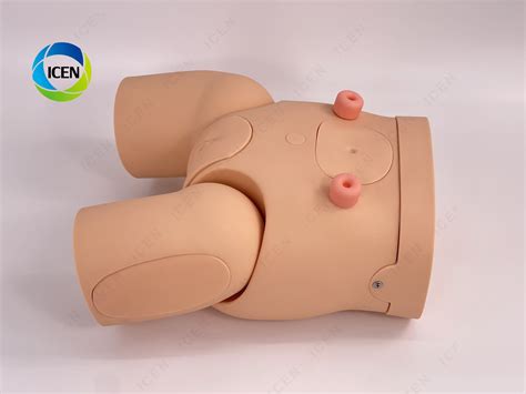 IN M9 Male Urinary Catheterization Training Simulator Male Bladder