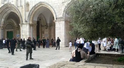 شبكة قدس الإخبارية تغطية صحفية جانب من اقتحام المستوطنين للمسجد