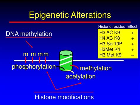 Ppt An Epigenetic Approach To The Treatment Of Acute Leukemia And