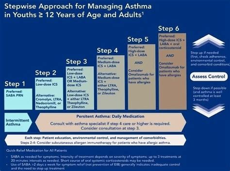 Stepwise Asthma Control Therapy Diagram Image Graph Diagram