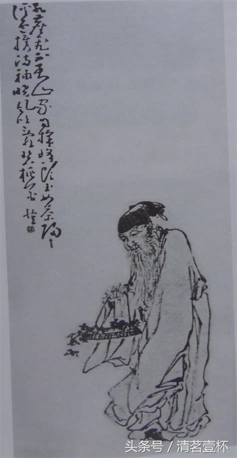 那些武夷岩茶的故事 制茶師祖楊太伯 每日頭條