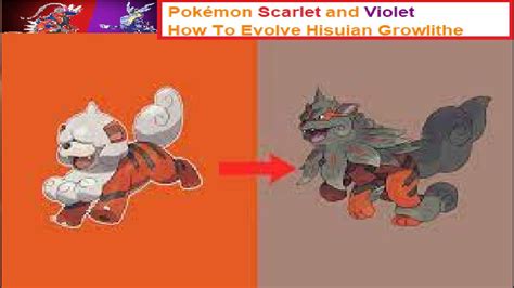 Growlithe Evolution Chart