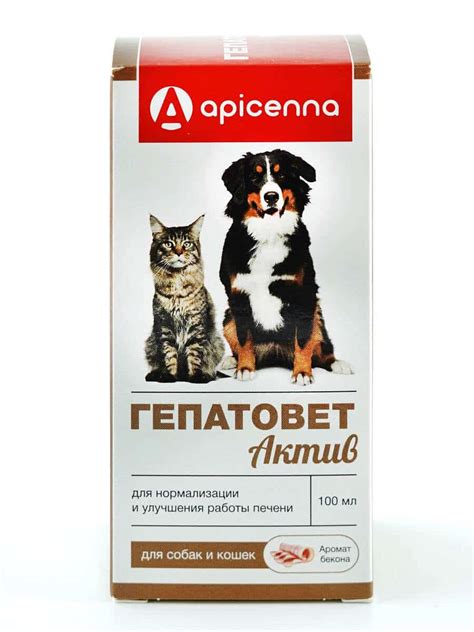 Гепатовет Актив для кошек и собак, флак. 100 мл купить в дискаунтере ...