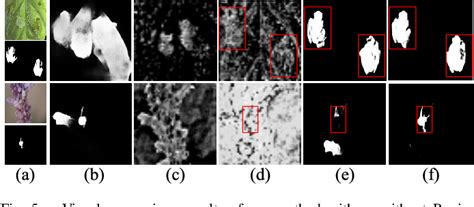 Figure 1 From Finding Camouflaged Objects Along The Camouflage