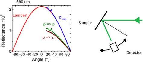 Scatterometric Measurements In P Polarization For The Thickest Sample