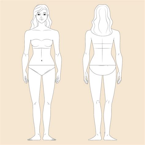 Contorno Del Cuerpo Humano Femenino