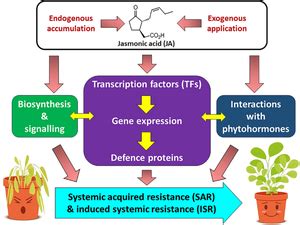 Ja Journal Of Plant Growth