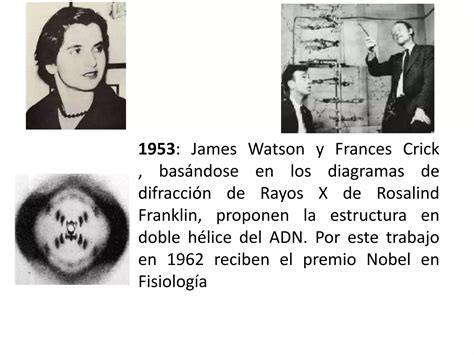 Desarrollo Historico De La Biologia Celular Y Molecular Ppt