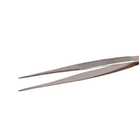 Economy Straight Serrated Fine Tip Forceps