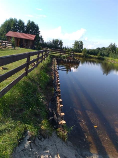 Faszyna Kołki Kiszka faszynowa Grębków OLX pl