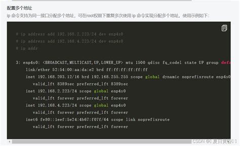 Openeuler配置同一网口多个ip地址openeuler追加子ip Csdn博客