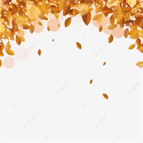 황금 가을 일러스트 낙엽 조명 효과 테두리 나뭇잎 떨어진 나뭇잎 조명 효과 틀 Png 일러스트 및 Psd 이미지 무료 다운로드 Pngtree