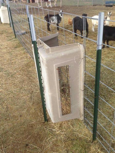 Redneck Goat Feeders Goat Barn Goat Farming Goat Feeder