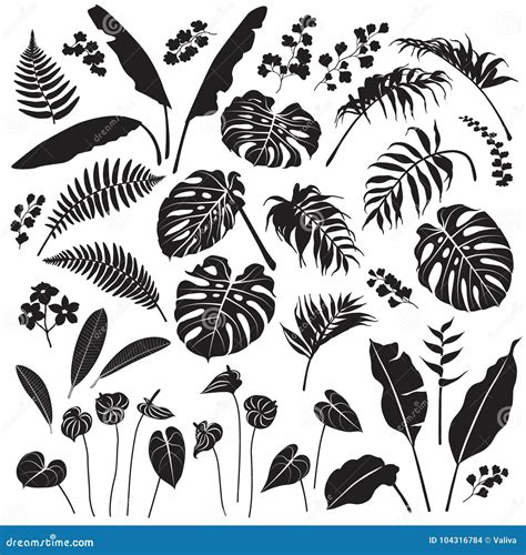 Tropical Leaves And Flowers Silhouette Set Stock Vector Illustration