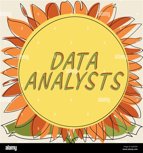 Conceptual Caption Data Analysts Word For Programmer Design And Create