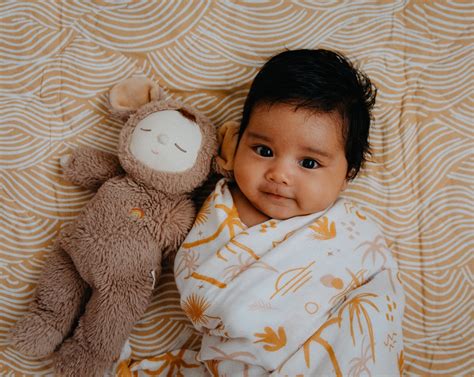 Ziggy Swaddle Darling Folk
