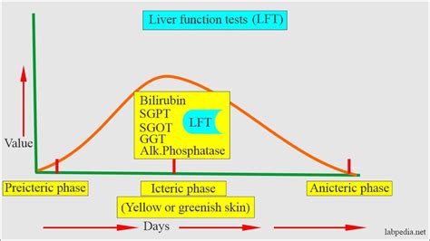 Liver Part 3 Differential Diagnosis Of Jaundice