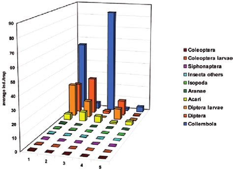 Average Numbers Of Arthropod Groups In Pitfall Traps In The Gombasecká Download Scientific