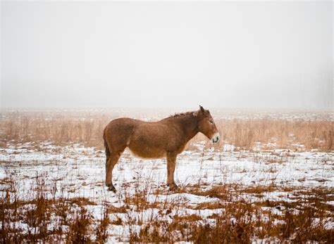 For The Time Being By Photographer Jonathan Schechner