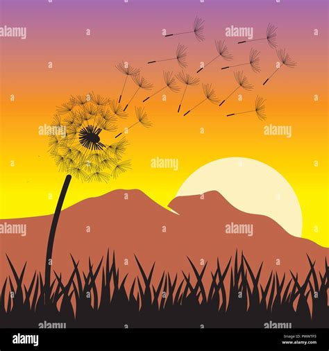 Dandelion Flower Vector Stock Vector Image And Art Alamy
