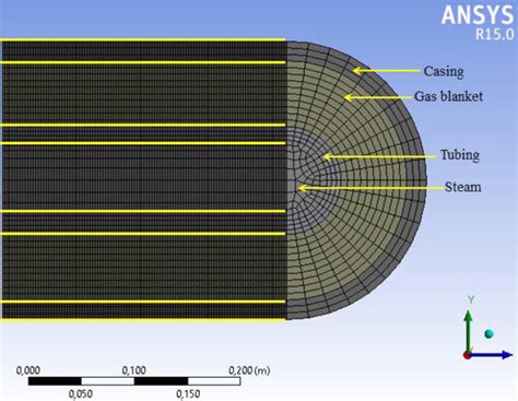 B Part Of Discretized Domain Download Scientific Diagram