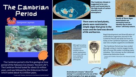 The Cambrian Period