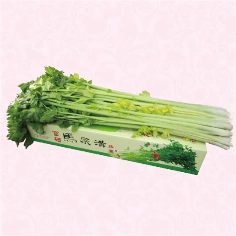 正宗马家沟芹菜图片 品种 均价 文秘苑图库