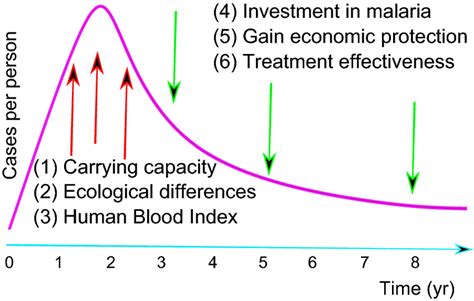 Theoretical Background The Convex Curve Supports The Convex Trajectory