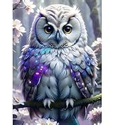 DPHERO Diamond Painting Eule Diamant Painting Bilder Fantasie Diamond