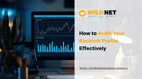 How To Audit Your Backlink Profile Effectively