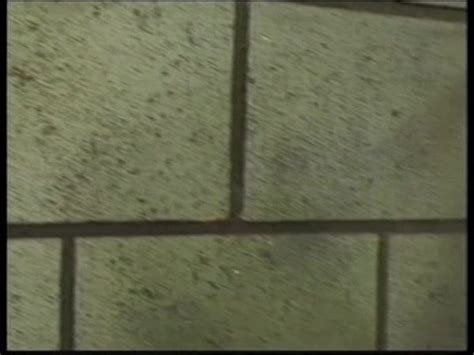 Ich Mag Nun Mal Hammer Schwanze By Foxy Media Hotmovies