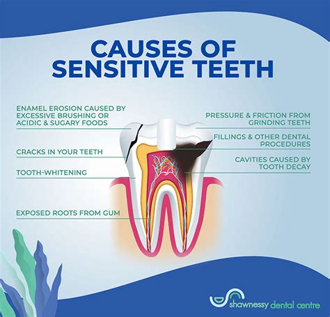 Why Is My Tooth Sensitive To Temperature At Kenneth Shorter Blog