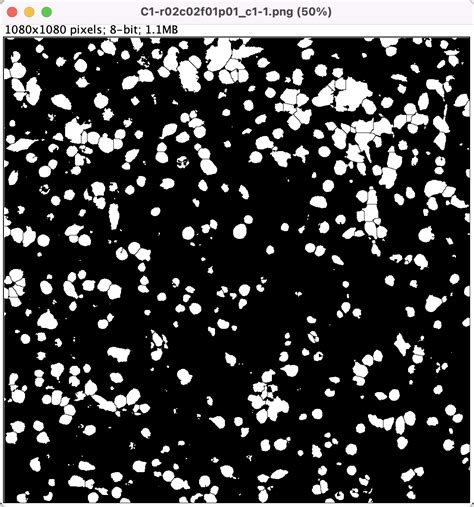Hci Imagej的单细胞荧光强度分析imagej分析荧光强度spikeking的博客 Csdn博客