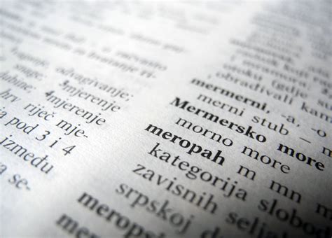 Goran Galić Hrvatsko Srpski U Zagrebu I Šibeniku 2022 Kada će Hrvatski Jezik Dobiti