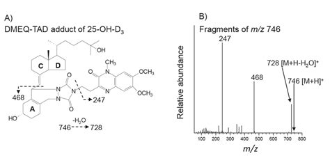 Proposed Fragmentation Pattern Of 25ohd 3 Derivatized With Dmeq Tad