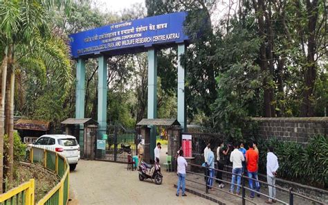 Rajiv Gandhi Zoological Park Pune Tourism Pune 2025 A Complete