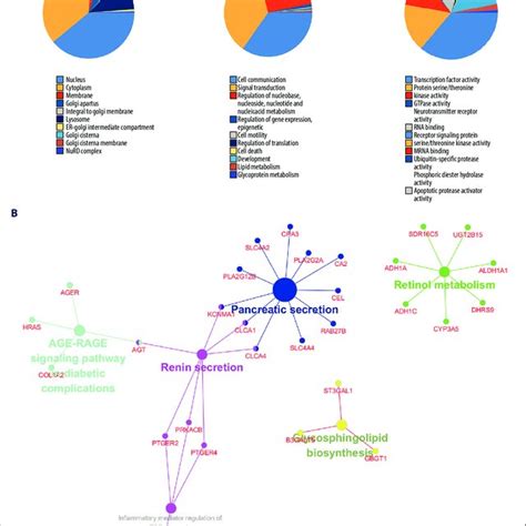 A The Top 10 Biological Processes Cellular Components And Molecular