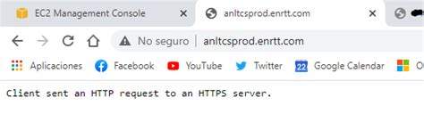 Problem Installing Ssl Certificade In Go Lang With Echo Framework Client Sent An Request