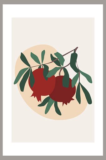 잎이 있는 가지에 석류 간단한 모양과 과일의 추상적 인 구성 템플릿 미니멀리즘 파스텔 흙 색 엽서 벽 예술 및 소셜 미디어 커버를 위한 벡터 배너 건강한 식생활에 대한 스톡
