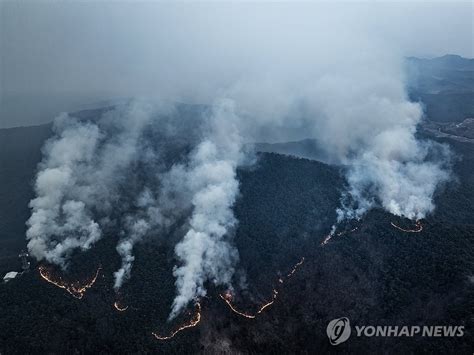韩国多地发生山火 过火面积近8000公顷 韩联社