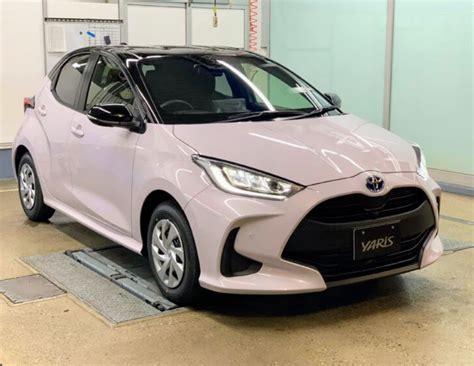 Toyota ヤリス ともにゃんわくわく日記