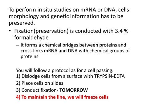 Ppt Cell Fixation Powerpoint Presentation Free Download Id2354459
