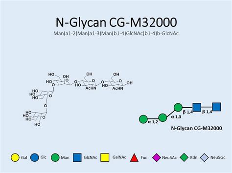 N Glycan Cg M32000