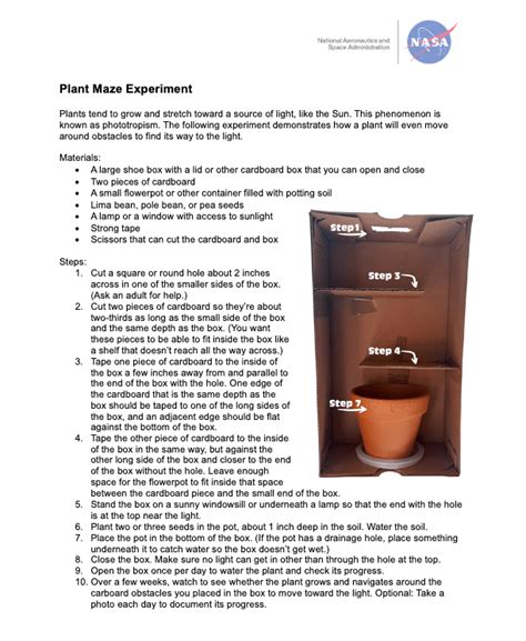 Plant Maze Experiment Nasa Science