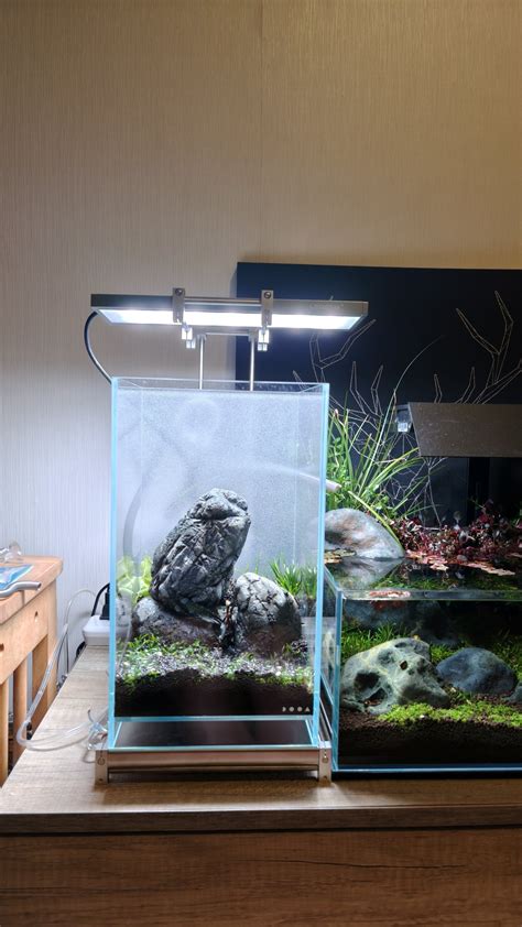 Aquatic Idea Thai ตู้ไม้น้ำเมืองไทย Got My Order From China Last Week Quite Nice Light Stand