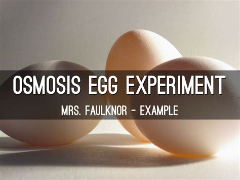 Osmosis Egg Lab By Jennifer Faulknor