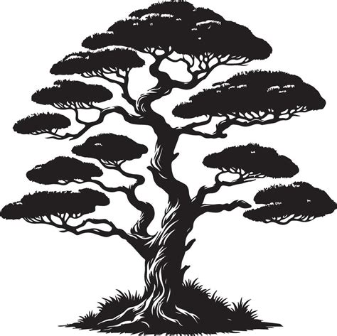 Juniper Tree Black Color Silhouette 48946850 Vector Art At Vecteezy
