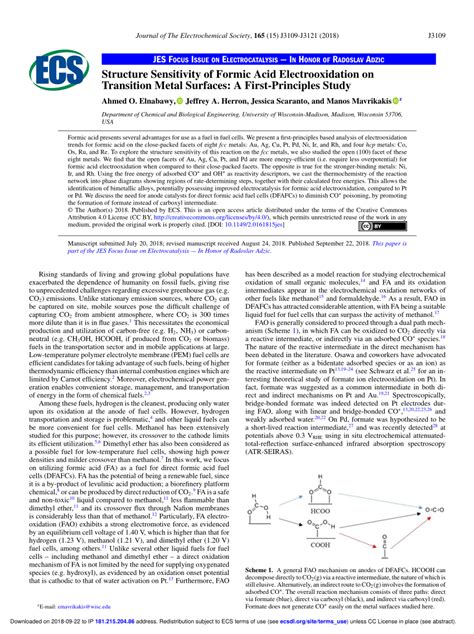 Science Reflection Sentence Starters For Essays