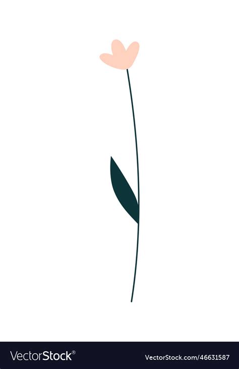Flower On Stem Royalty Free Vector Image Vectorstock